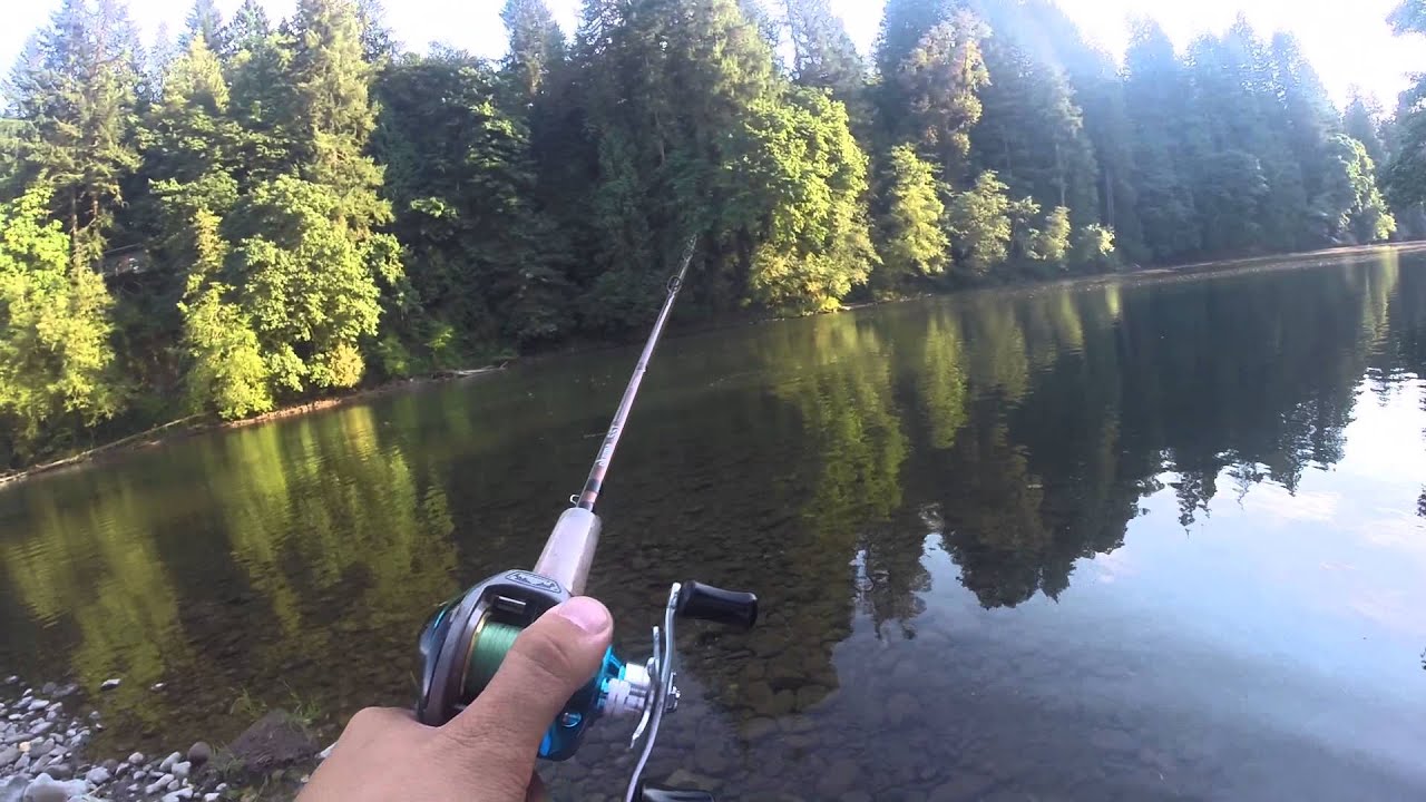 Summer steelhead,north fork lewis river - YouTube
