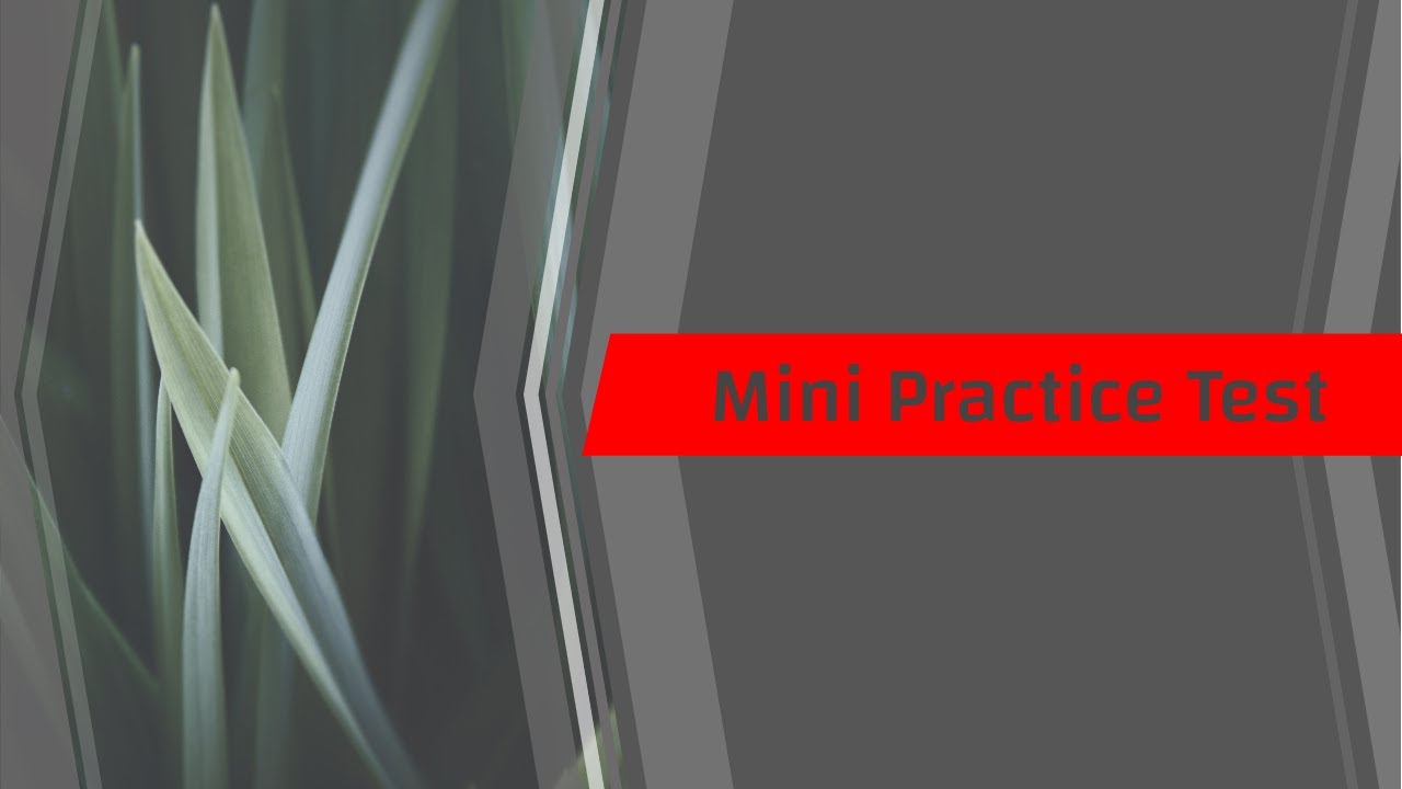 Mini Practice Test - YouTube