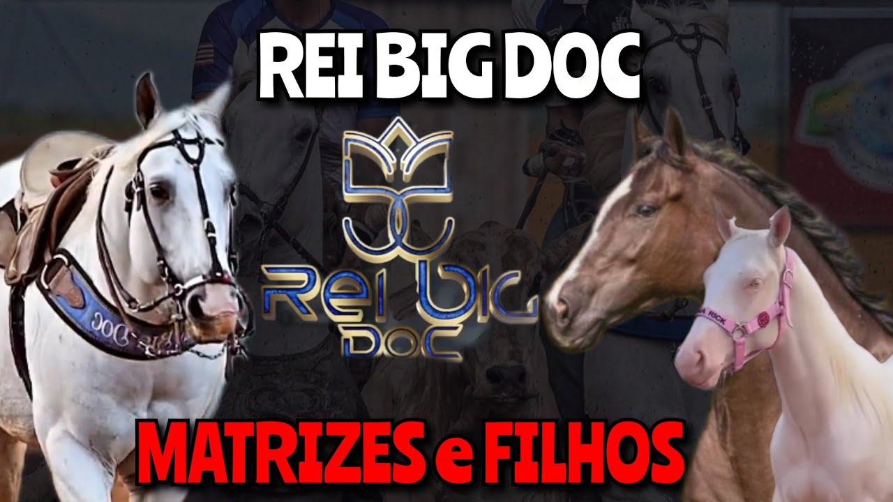 As MATRIZES que o REI BIG DOC vai Produzir e os Seus Filhos. - YouTube