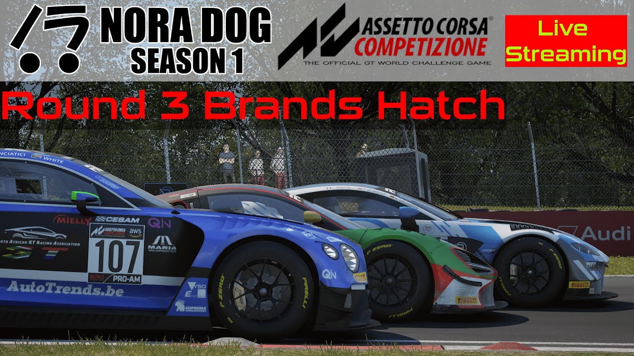 ノラ鯖 / #NORA鯖】 NORA Dog Season 1 Round 3 Brands Hatch リアルタイム実況 2021-11 ...