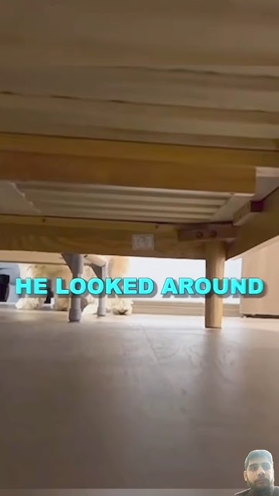 Puppy Hide n Seek 🥶🥶🥶 #shortvideo #challenge #ytshorts #funny - YouTube