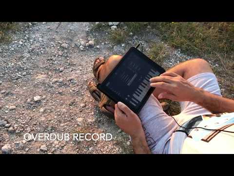 Moog Model 15 App : Symbiotic Equations