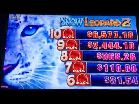 Snow Leopard 2 slot machine slot play!! #gambling #casino - YouTube