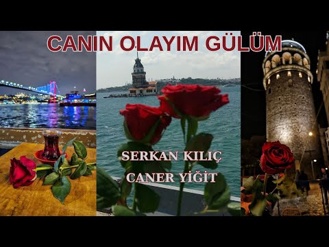 Canın Olayım gülüm (şiir)@SerkanKlc006 #aşk #love #sevgi #gülüm #canım #sevgilim #sevgiliyesözler