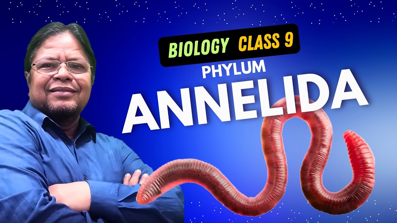 Phylum Annelida | BIOLOGY (Life Science) | Class 9 WBBSE Syllabus ...
