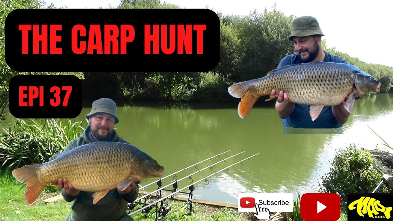 The Carp Hunt ep37, Club lake success - YouTube