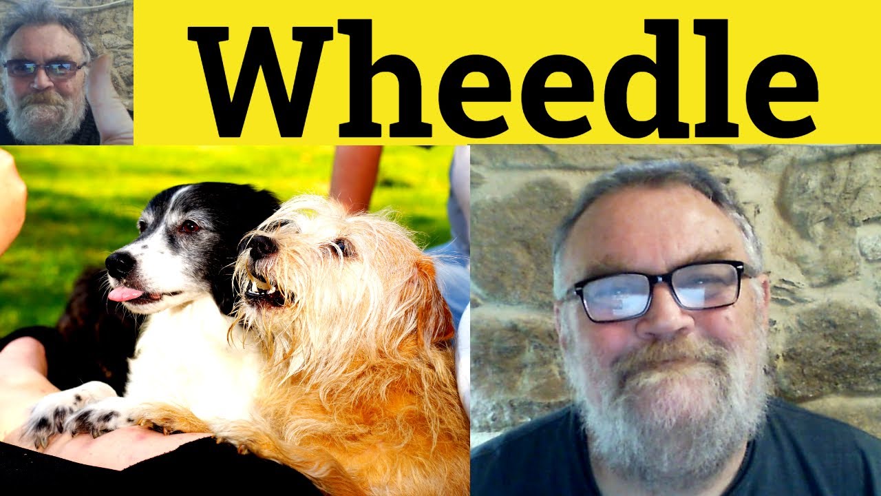 😎 Wheedle Meaning - Wheedle Examples - Wheedle Defined - Wheedle ...