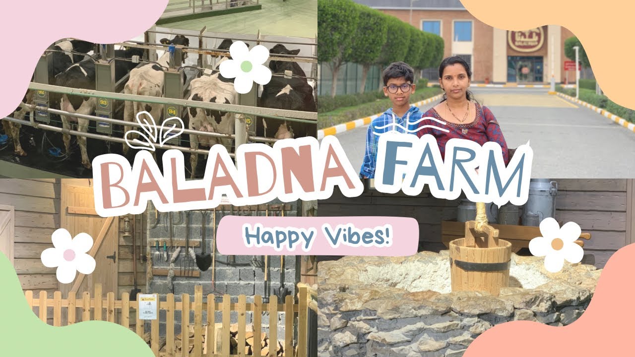 Baladna Farm - With the Cows || #baladna #cow || - YouTube