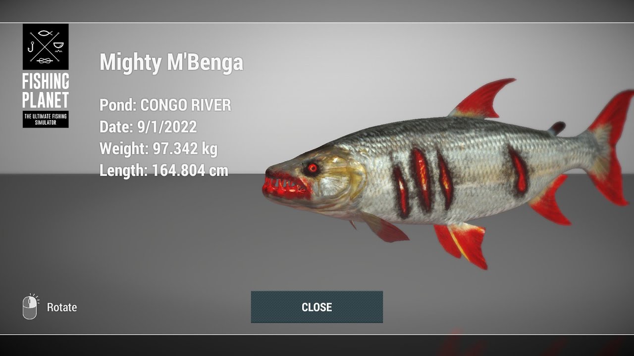 Fishing Planet Congo Monster Fish M|Benga with Shaman Duck Lure v4.1.2 ...