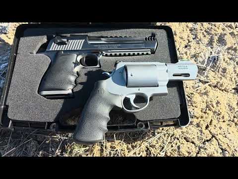 Desert Eagle 50AE or S&W 500🤔