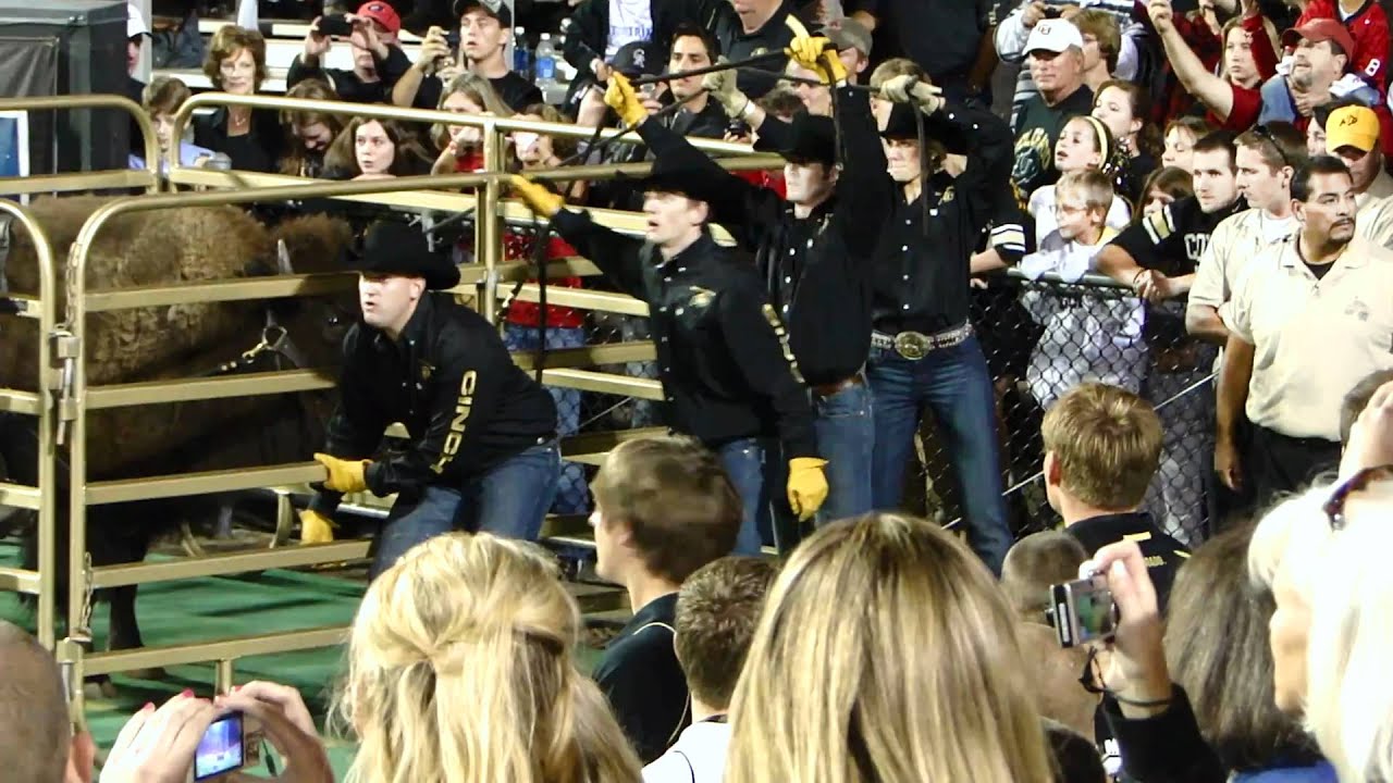 Ralphie V Run vs Georgia 2010 2nd half - YouTube