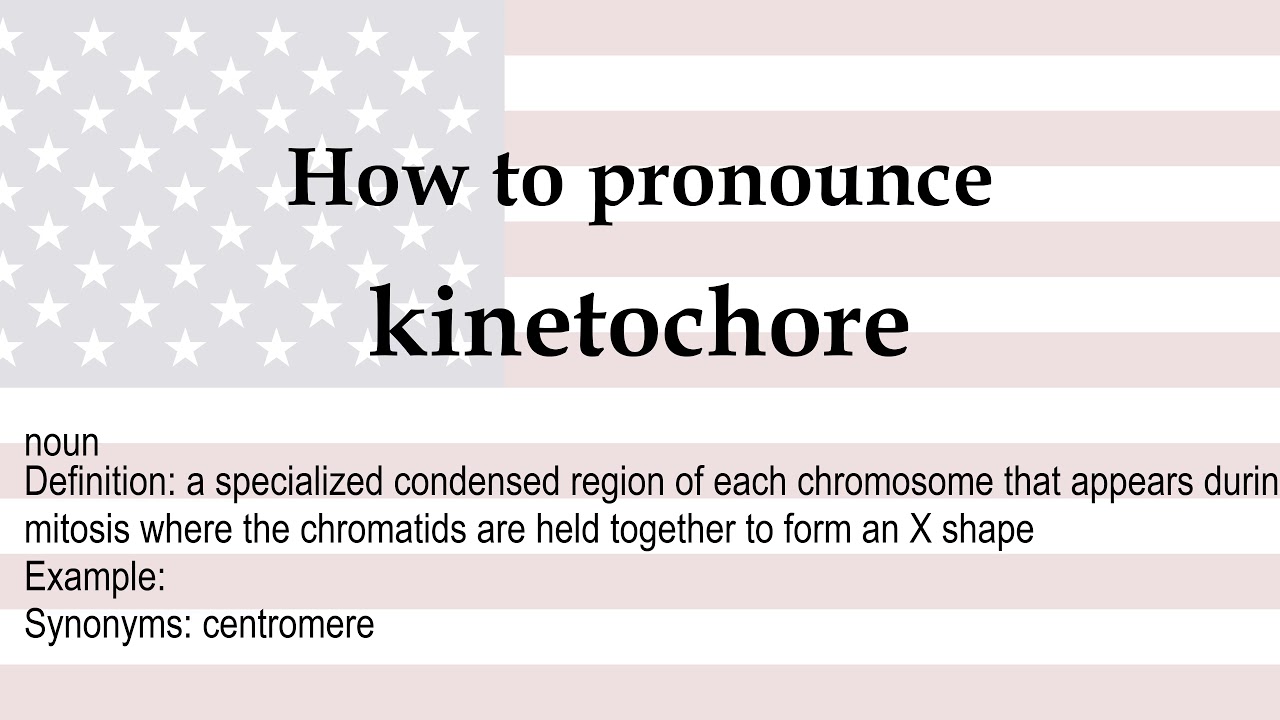 Kinetochore Pronunciation