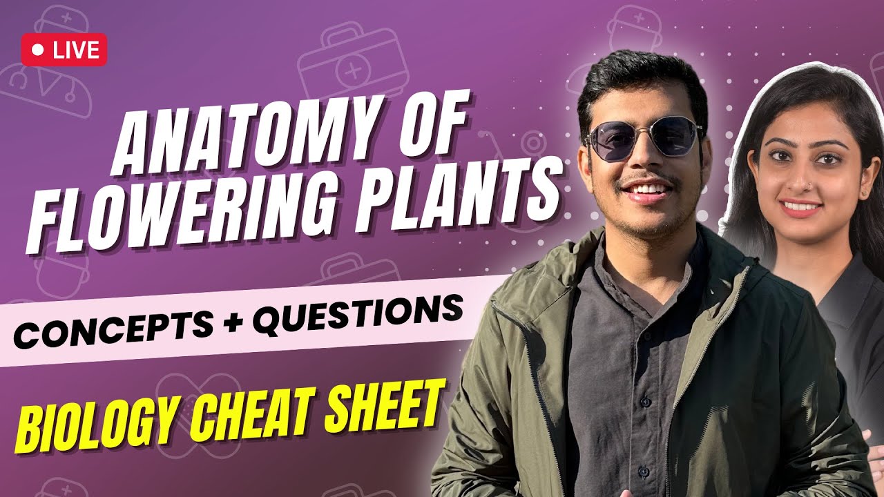 Anatomy of Flowering Plants | Concepts + Questions | Biology Cheat Sheet | NEET 2024 - YouTube