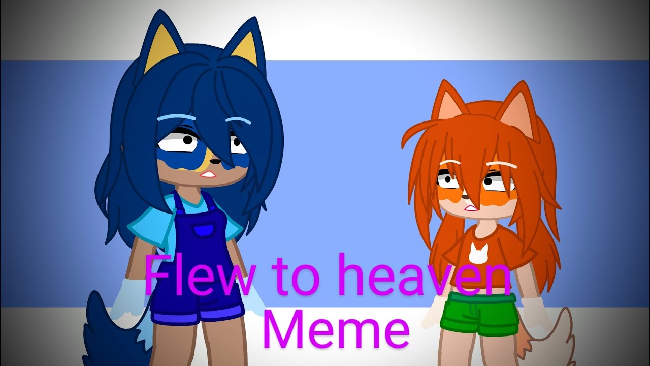 Flew to heaven Meme//🐶Bluey💙//Gacha Club//600 subscribers Specjal 🤩🎉🥹 ...