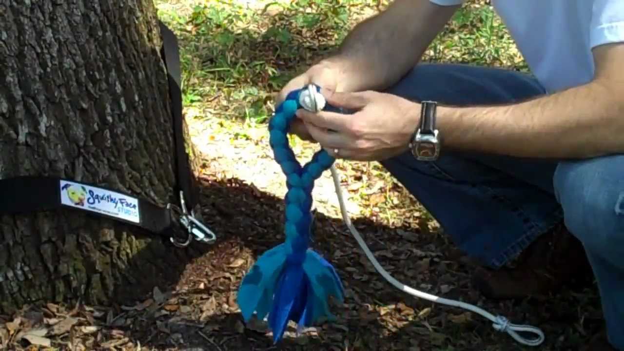 How to Assemble the Super Tug Dog Toy - YouTube