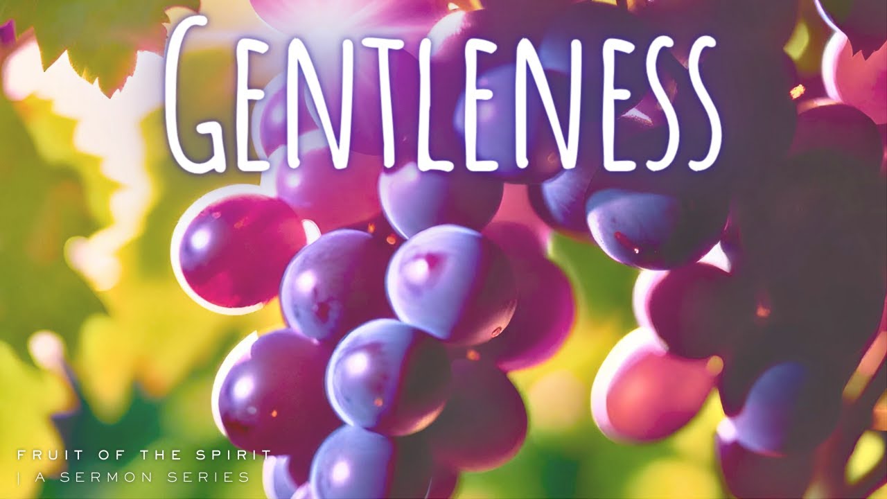 Fruit of the Spirit: Gentleness | Message by Pastor Julie Marxhausen ...