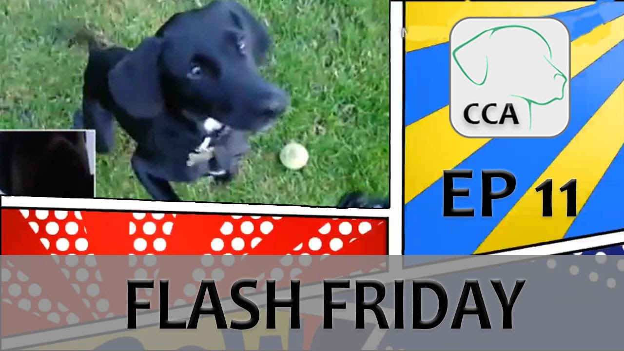 Flash Friday episode 11 - YouTube