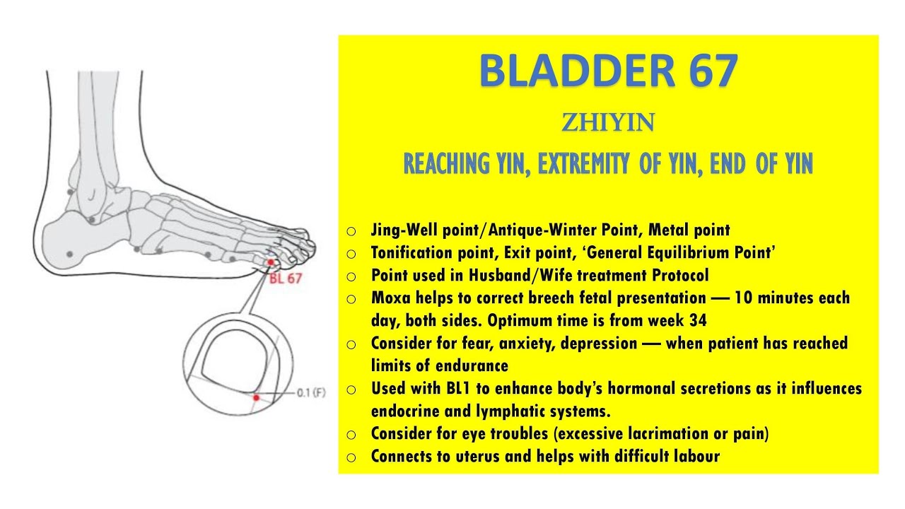 BLADDER 67 ZHIYIN (REACHING YIN, EXTREMITY OF YIN, END OF YIN) - YouTube