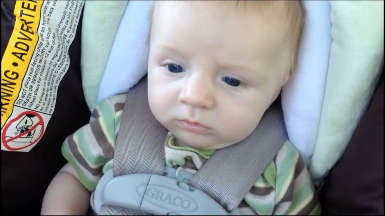 Cayden's 10th-14th Week Of Life! - YouTube