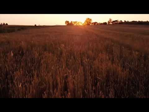 Drone ile Gün Batımı / Mavic Mini Sunset Footage