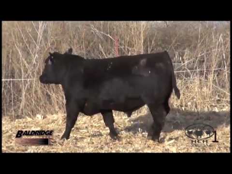 Baldridge Compass - YouTube