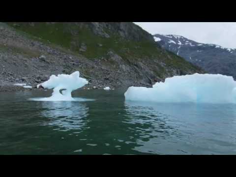 Bergie Seltzer - The sound that icebergs make when they melt.