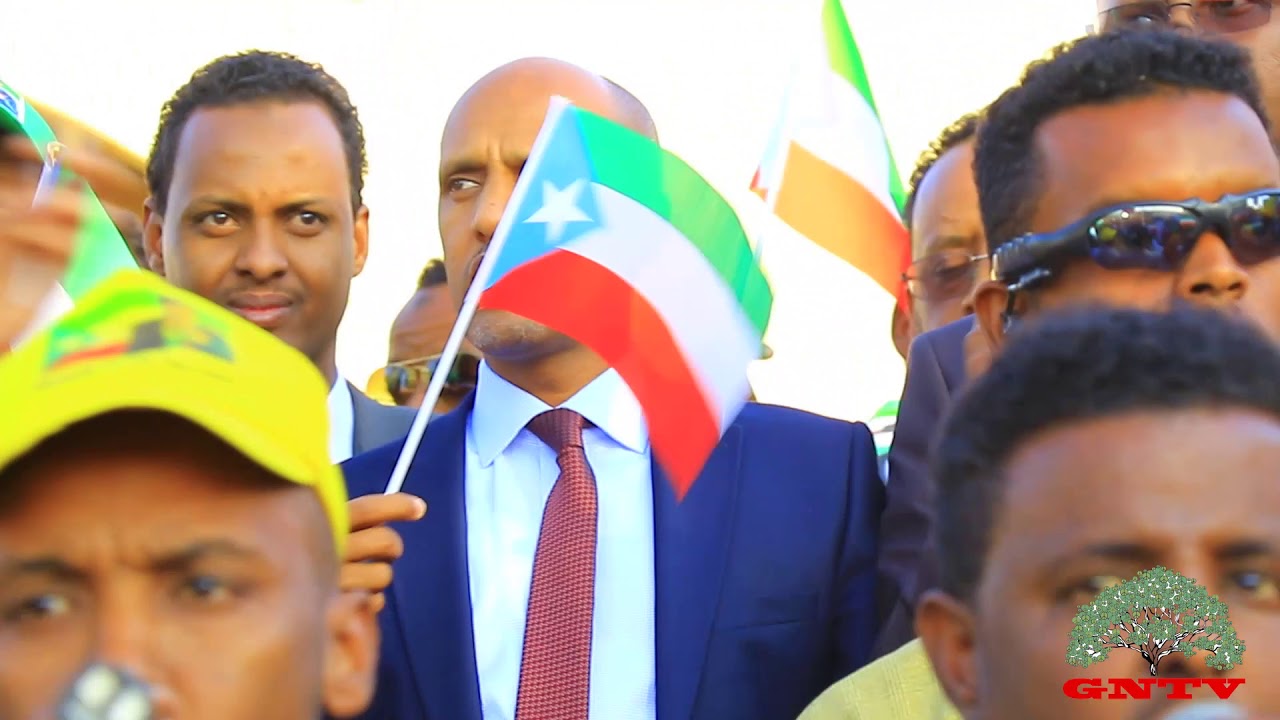 HEESTA CALANKA DDS EE SOO DHAWAYNTII MADAXWAYNAHA DDS - YouTube