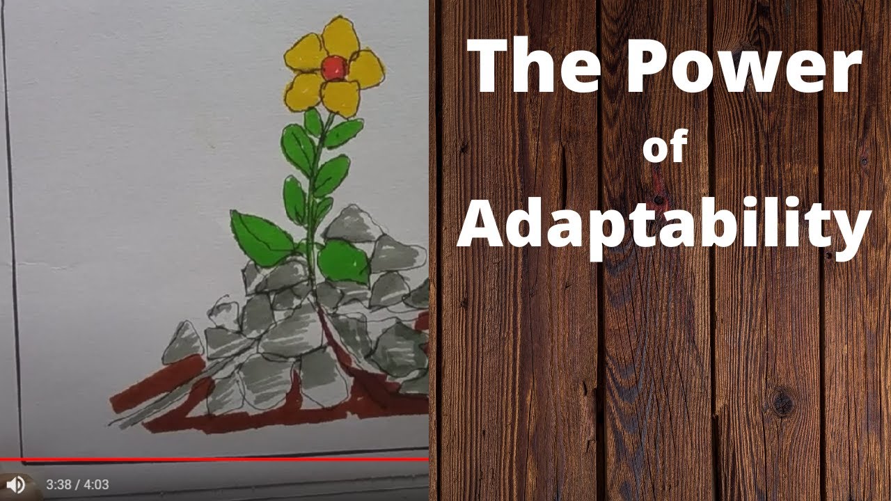 motivational talk on adaptability ,life lessons from nature//power of ...