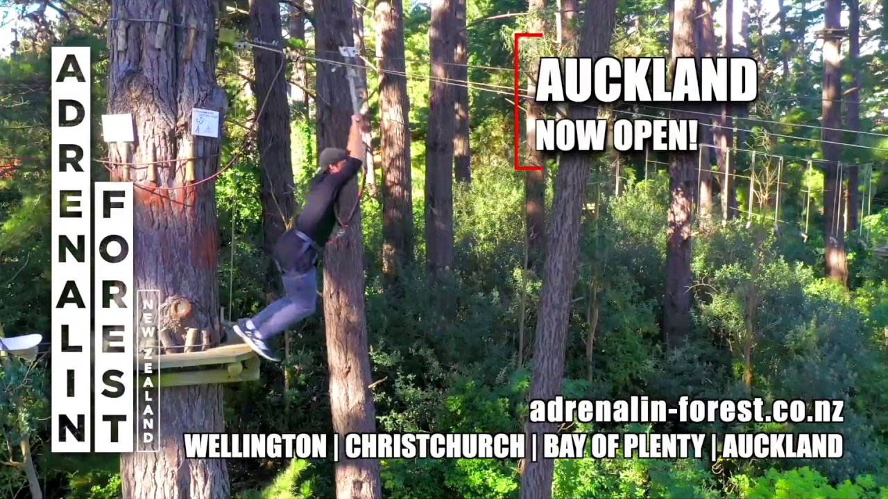 Adrenalin Forest New Zealand - New to Auckland - YouTube