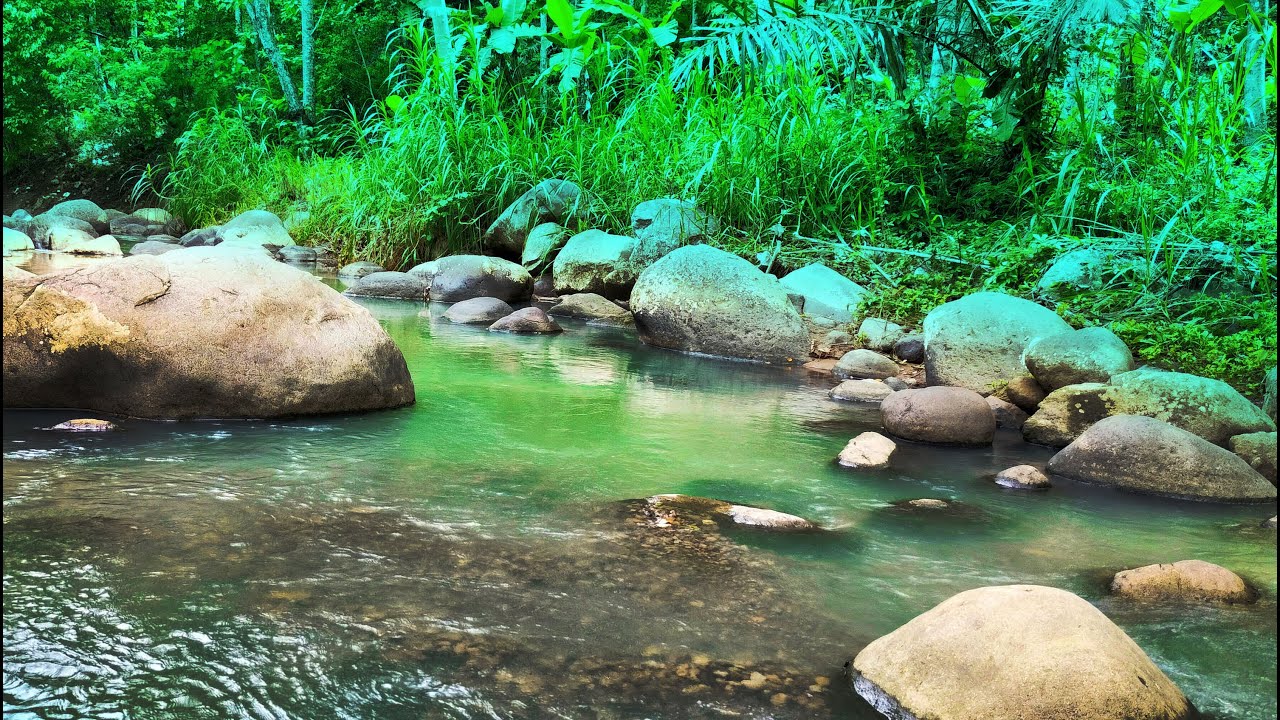 4K - Beautiful Morning River flowing sounds, Relaxing Stream River ...