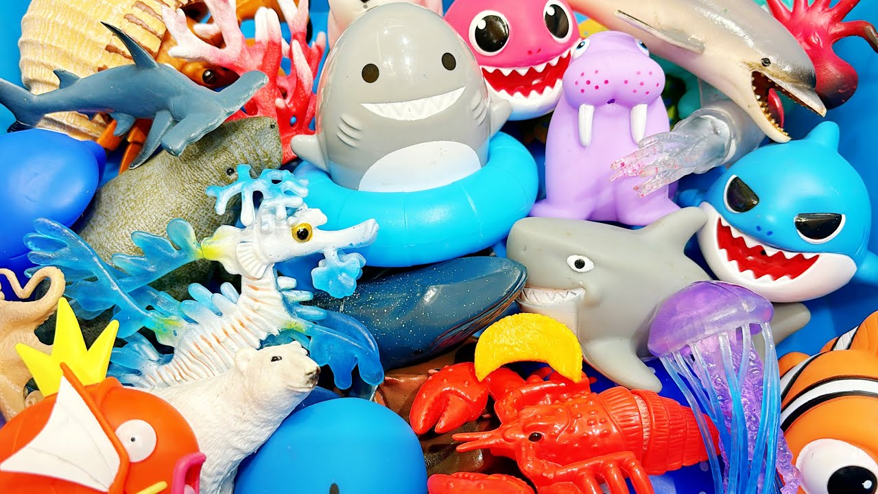 Fun Facts about Sea Animals I Animals For Kids I Sea Creatures I ...