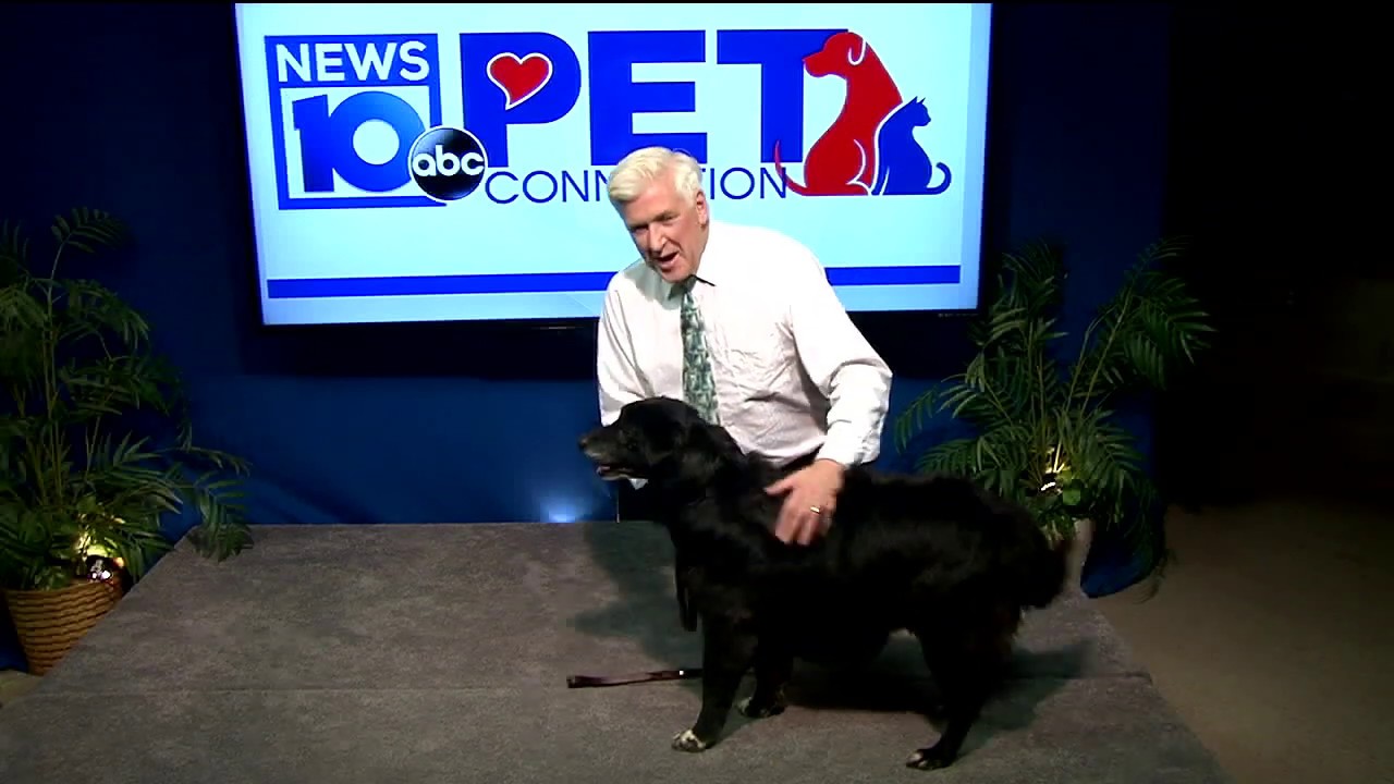 Pet Connection Colin 3-4-20 - YouTube