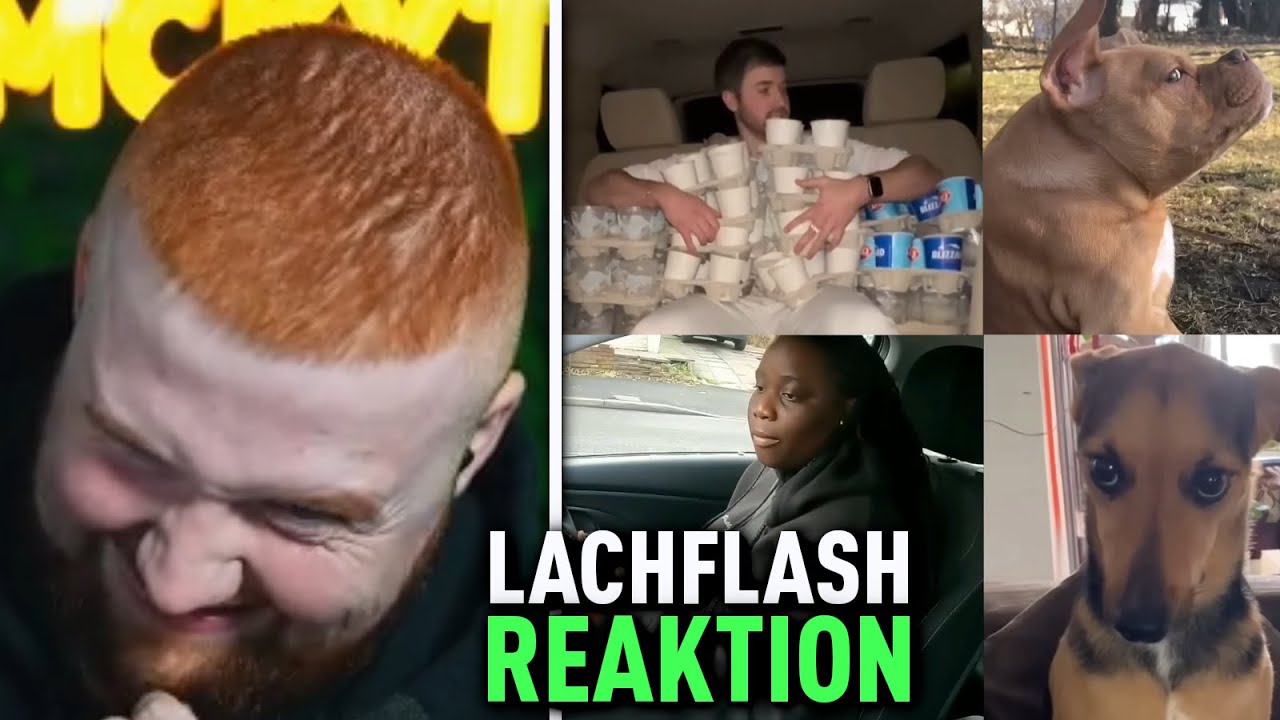 XL REAKTION - MEME COMPILATION😂 - DAILY DOSE OF INTERNET | MckyTV ...