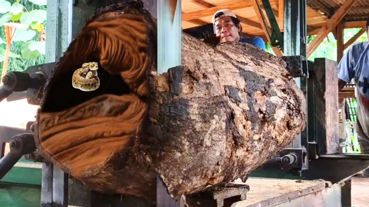 Teak wood with the extraordinary beauty of rare grains - YouTube
