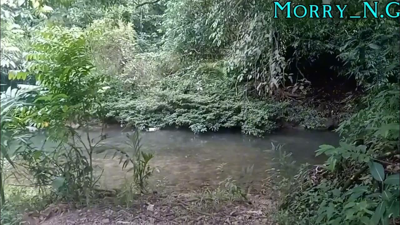 Morry_N.G | Santai di Tepi Sungai - YouTube