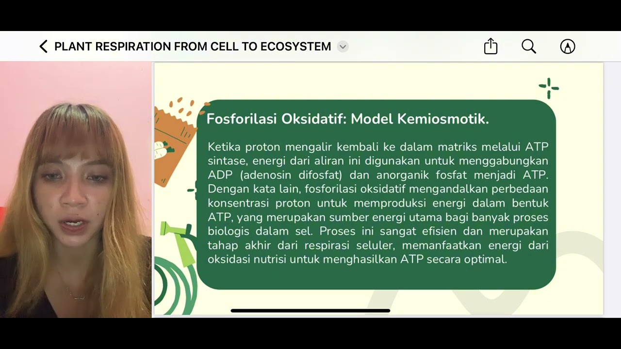 Plant Respiration From Cell To Ecosystem (Kelompok 4) - YouTube