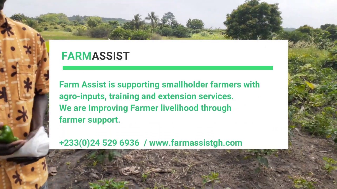 Farm Assist - YouTube