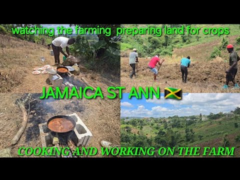 FARMER PREPARING LAND FOR CROPS COOKING UP FOOD FOR THE BUSHMAN COUNTRY ...