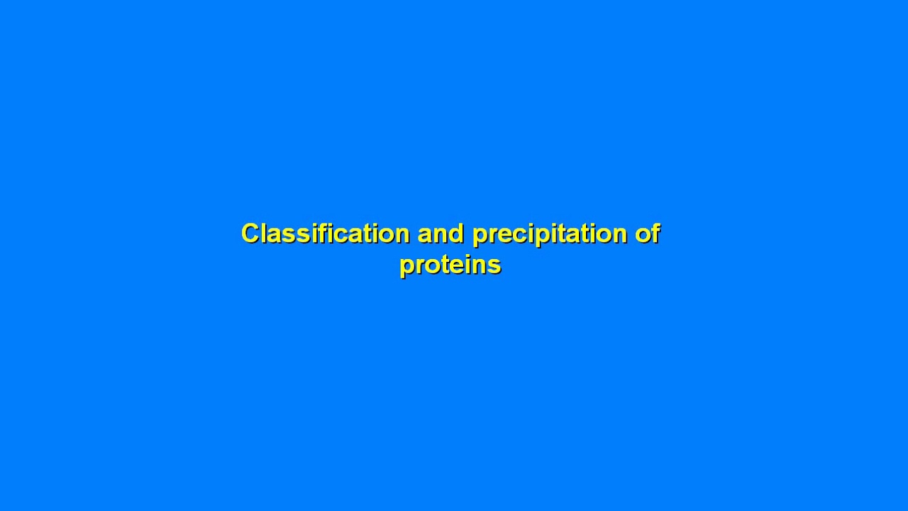 Classification of proteins - third stage - YouTube