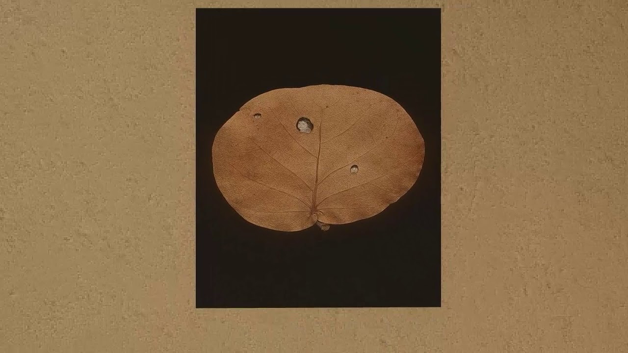 FOLIO A - Exhibición de Arte Collage Peruano 2020 - YouTube