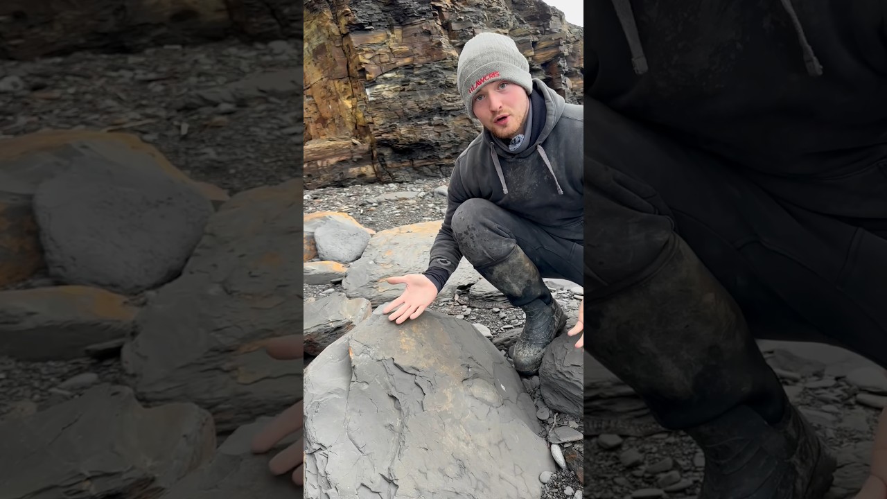 Finding fossils in large shale slabs that have fallen down the cliff! # ...