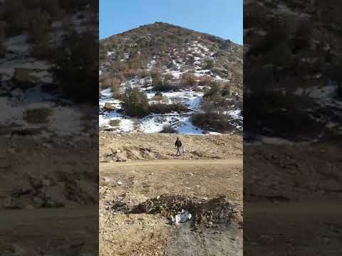 eşek kovalamaca 1 #yozgat #saraykent