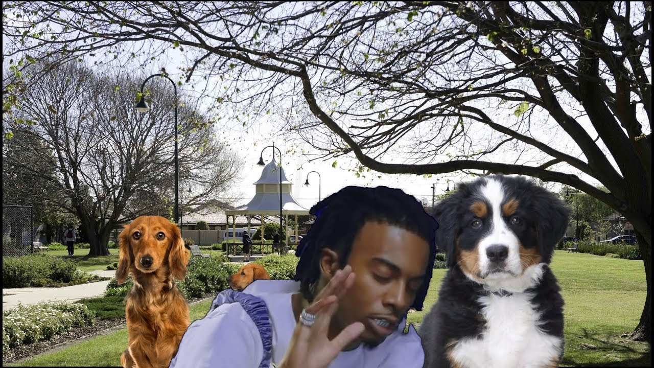 Playboi Carti goes to a dog park - YouTube