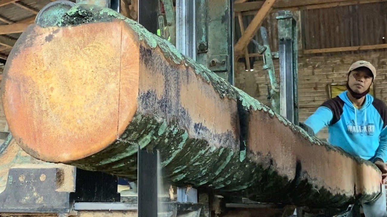 STUNNING, Sawing hard coconut lumber becomes soft, cattle barn beams vs ...