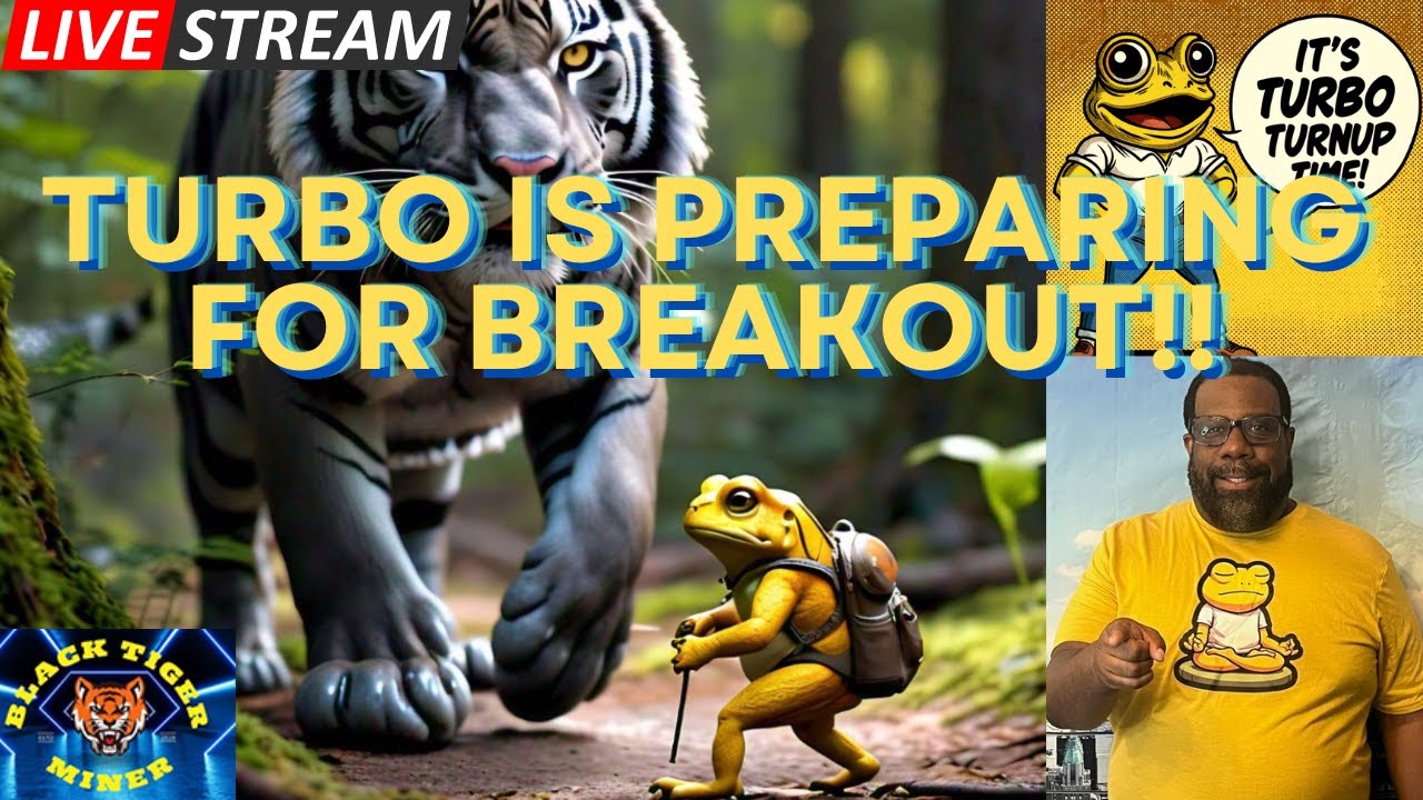 Turbo Toad is getting Ready for a Massive Breakout!!! #TurboRevolution ...