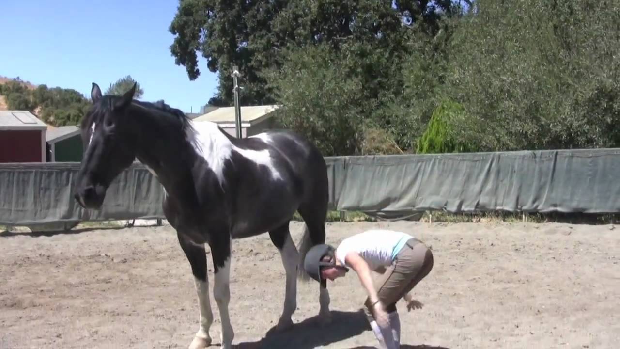 This is what happens when I get bored of jumping. - YouTube