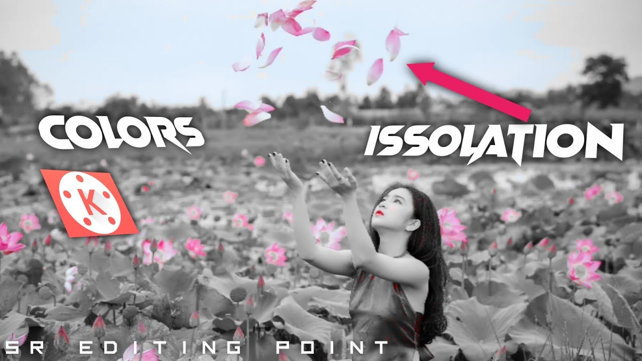 #sreditingpoint#color_issolatin|Color Issolation Effect Editing Using ...