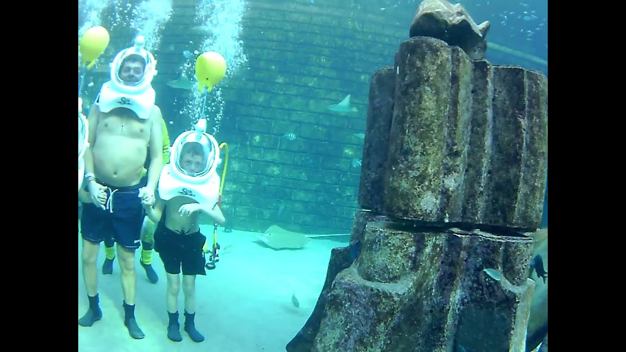 Shark Safari AQUAVENTURE ATLANTIS - YouTube