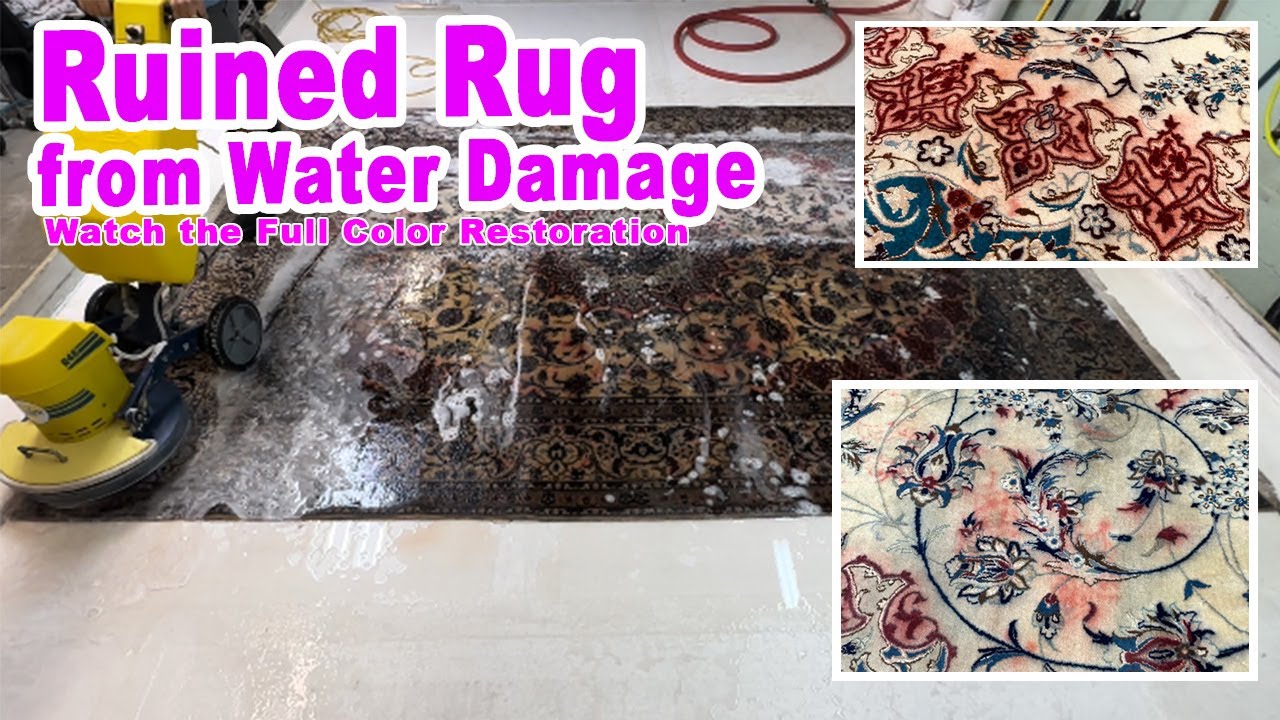 Rug Flooded and Ruined by Hurricane Ian | Watch the Color Restoration ...