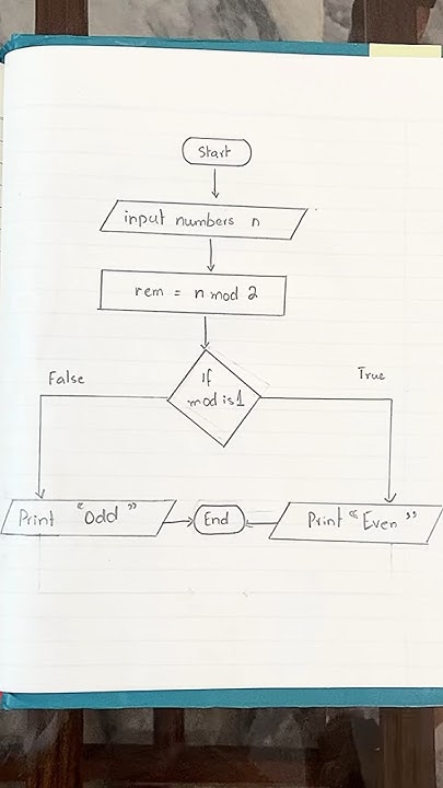 Class 9 computer practical flowchart#class10computer #practical_exam ...
